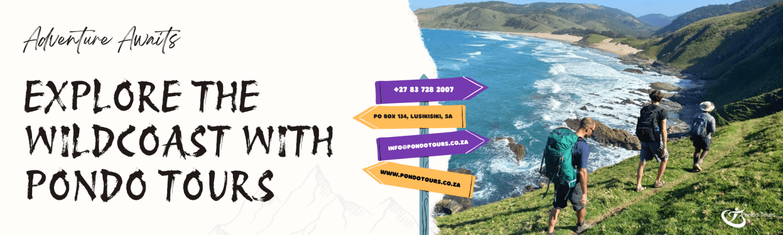 Home - Pondo Tours